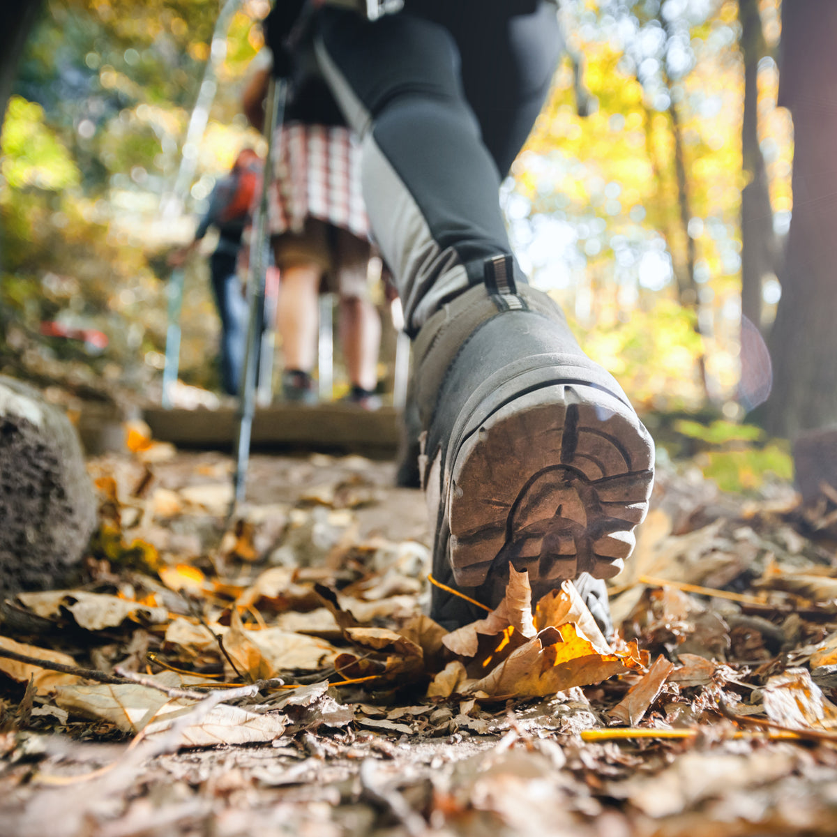 First Day of Spring Fun: Embrace the Outdoors with Free Country’s New