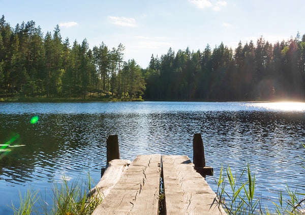 Free Country - Outside is Ours. Outerwear, Activewear and Swimwear